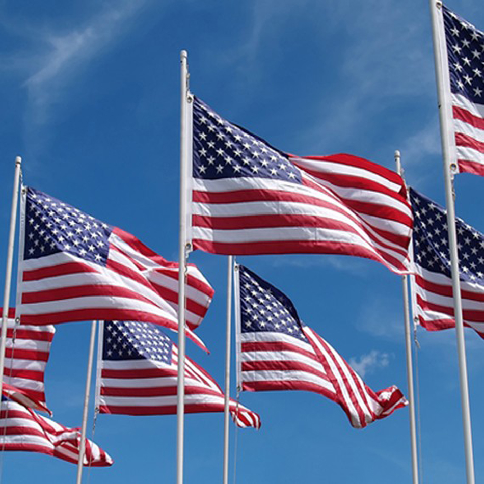 Chickasaw tribe Flags, Native American Tribes History